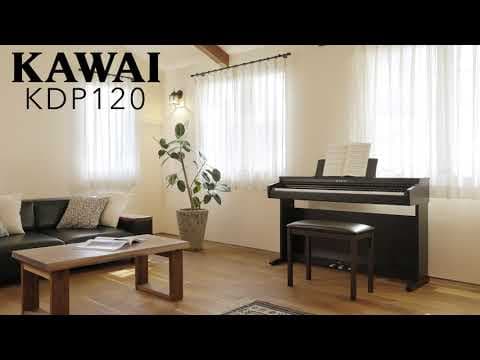 Kawai KDP120 Digital Piano | Digital Piano | KDP Series